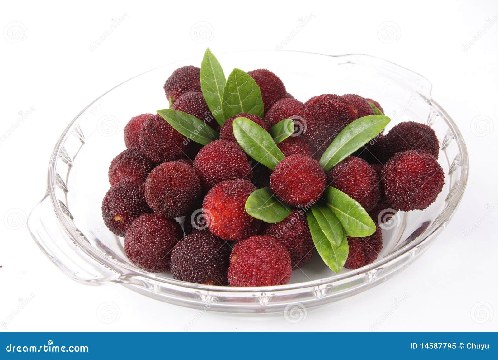 Waxberry stock image. Image of leaf, bitter, breakfast - 14587795
