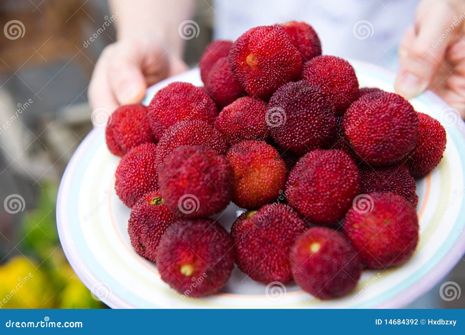 Waxberry stock photo. Image of breakfast, isolated, berry - 14684392