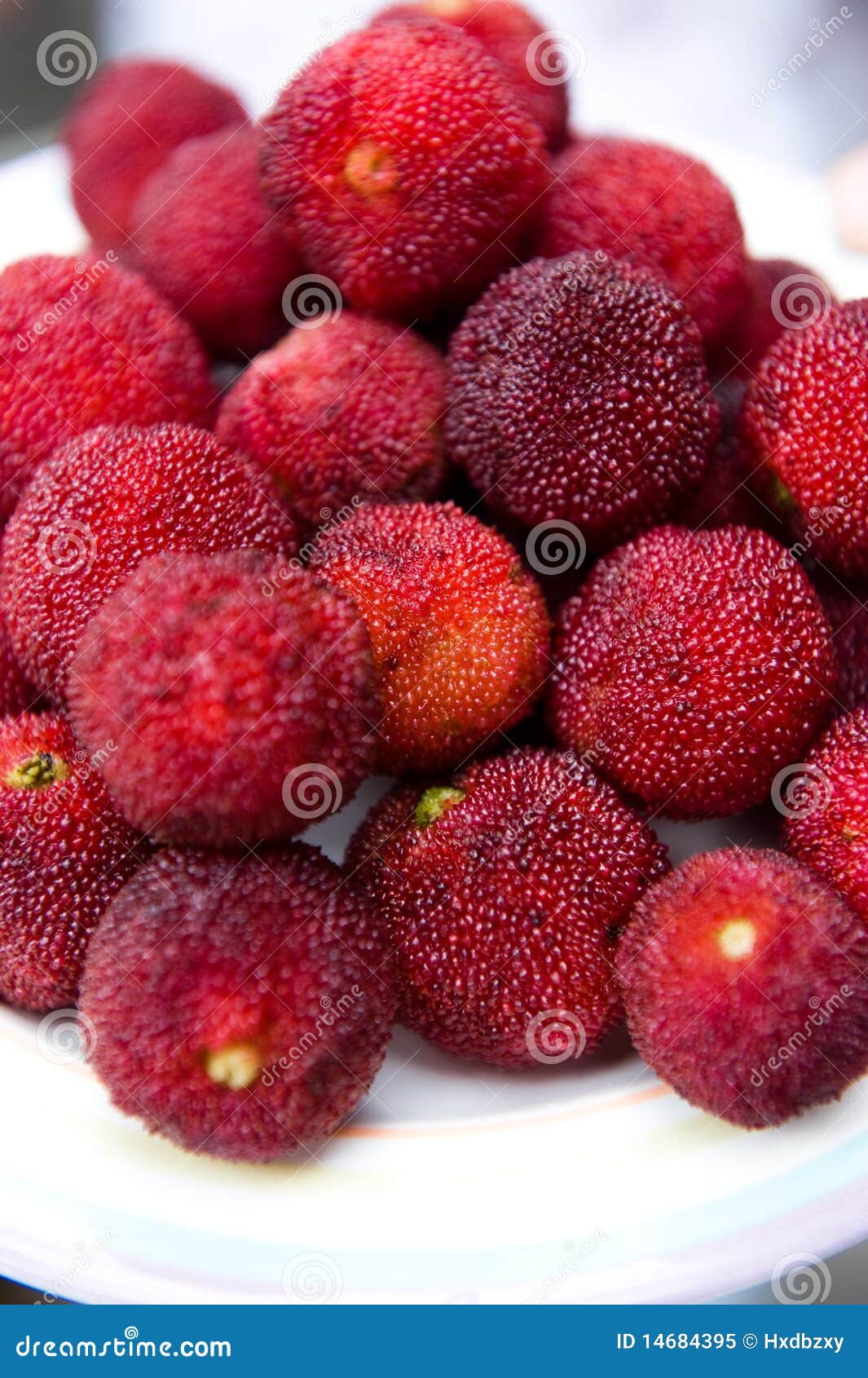 Waxberry stock image. Image of food, closeup, purple - 14684395