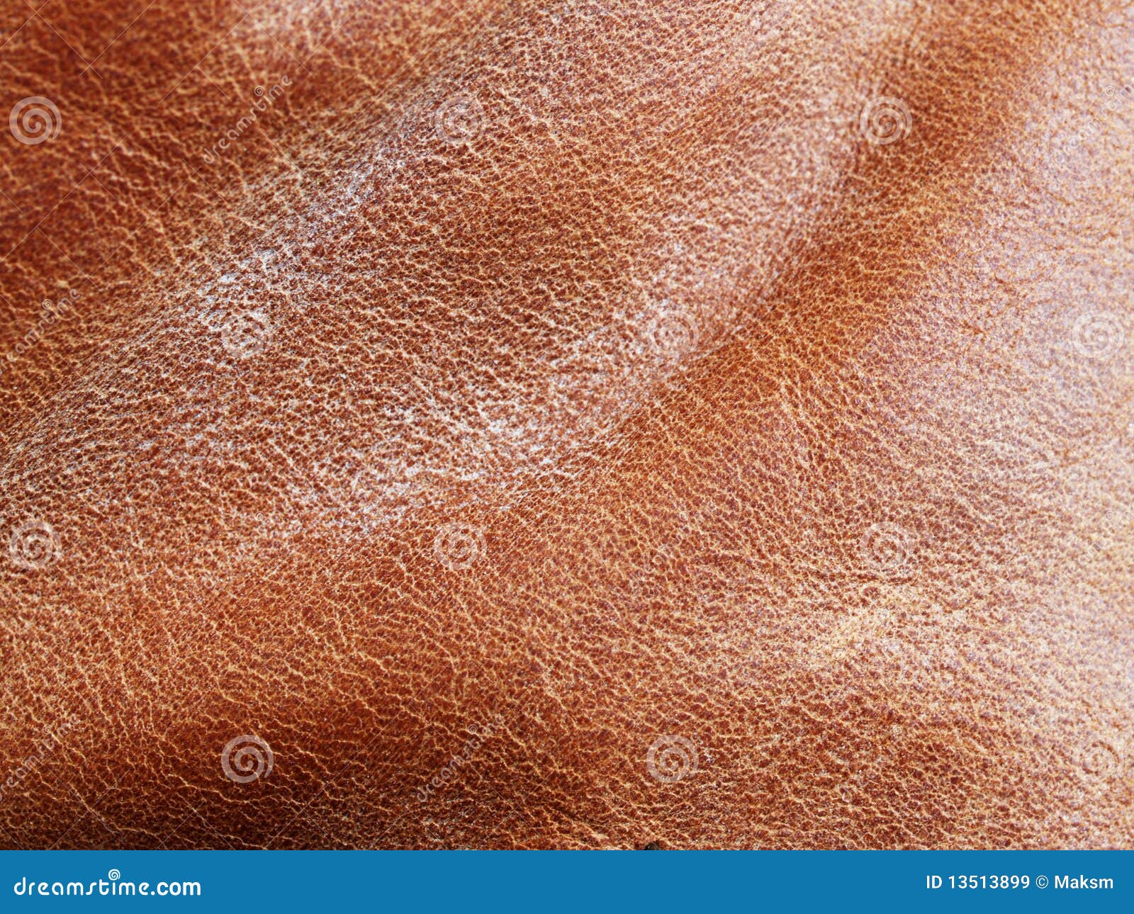 Waxed leather stock image. Image of textured, leather - 13513899