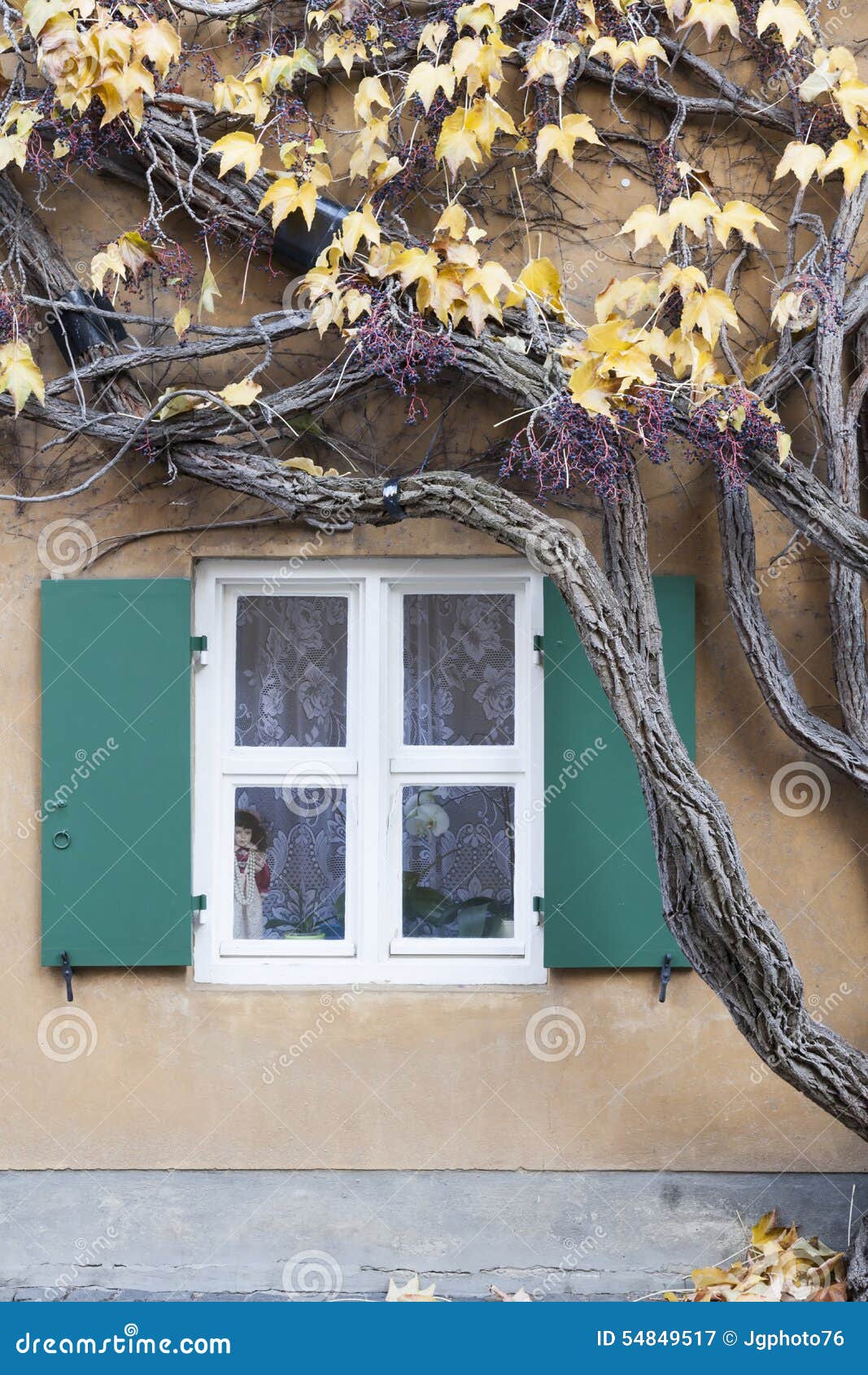 Waxed Window stock image. Image of vertical, branch, house - 54849517