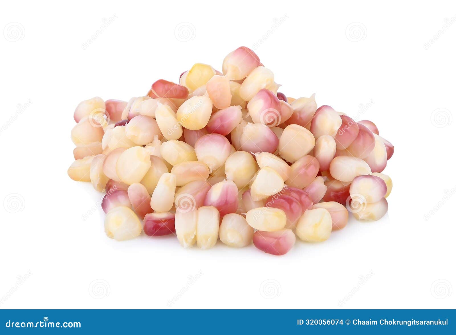 Thai Waxy Corn Isolated on White Background Stock Photo - Image of ...