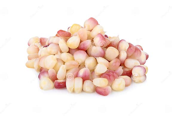 Thai Waxy Corn Isolated on White Background Stock Photo - Image of ...