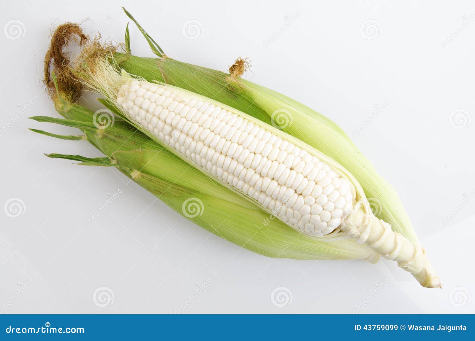 Waxy Corn stock image. Image of cells, heart, corn, fresh - 43759099