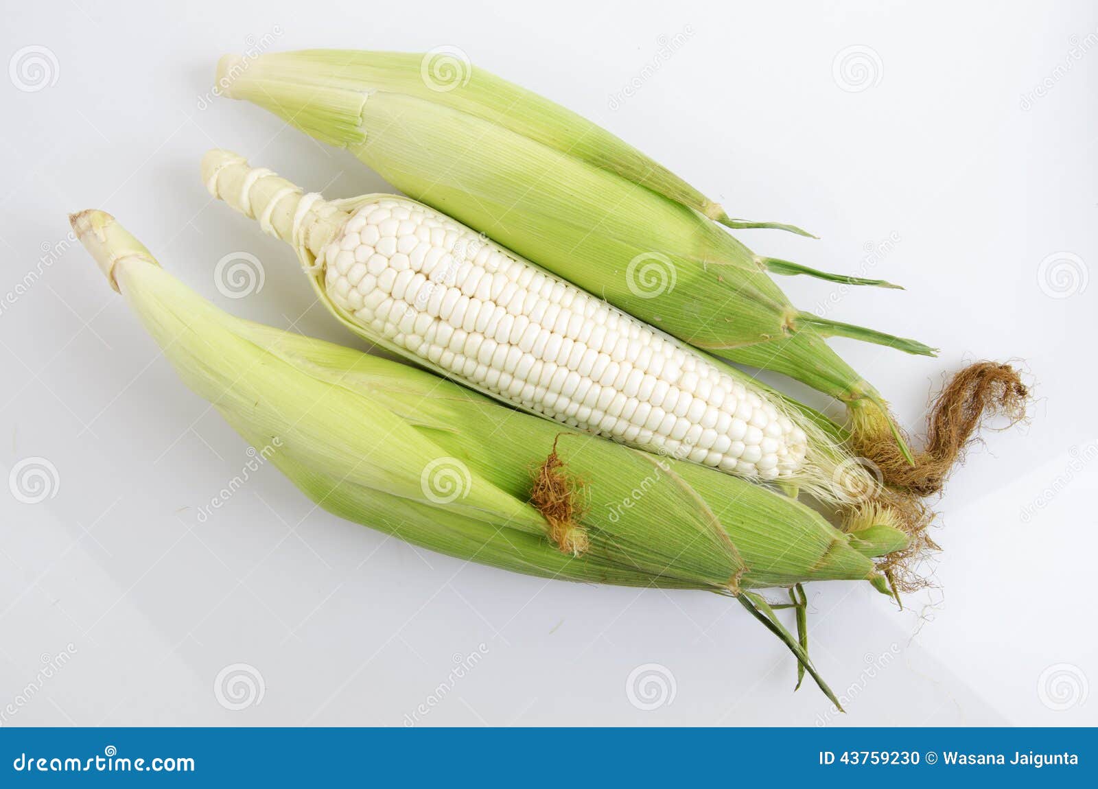 Waxy Corn stock photo. Image of acid, digestive, healthy - 43759230