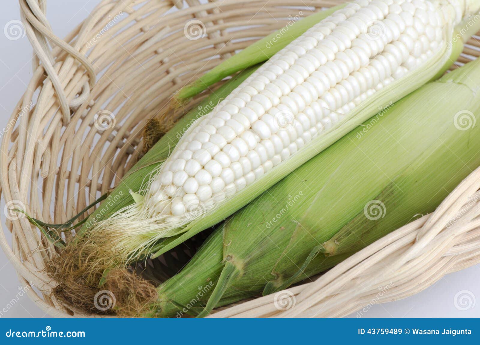 Waxy Corn stock image. Image of digestive, counteracts - 43759489