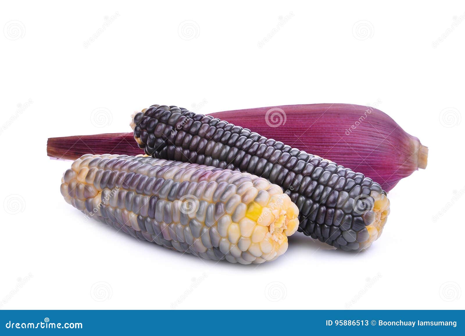 Waxy Corn, Tropical Plants on White Stock Image - Image of health ...
