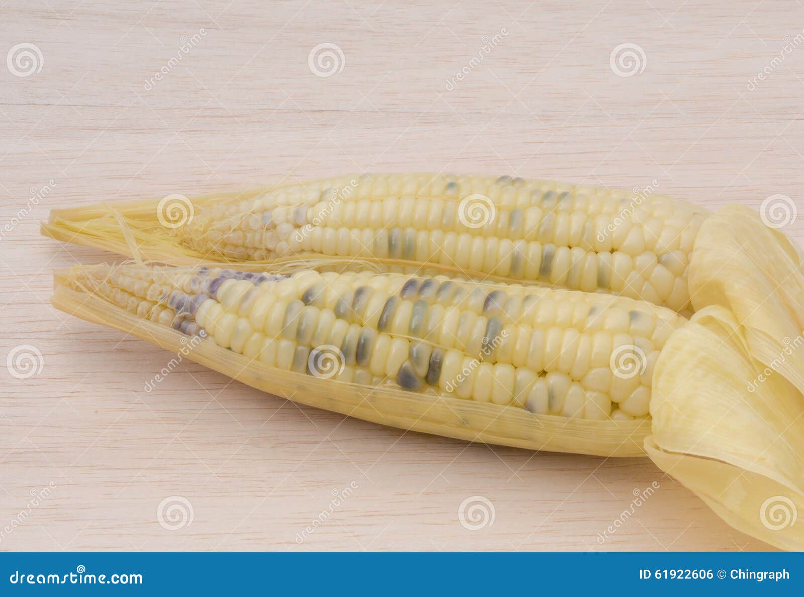 Waxy Corn Or Zea Mays Ceratina From Agricultural Corn Plantation Stock ...