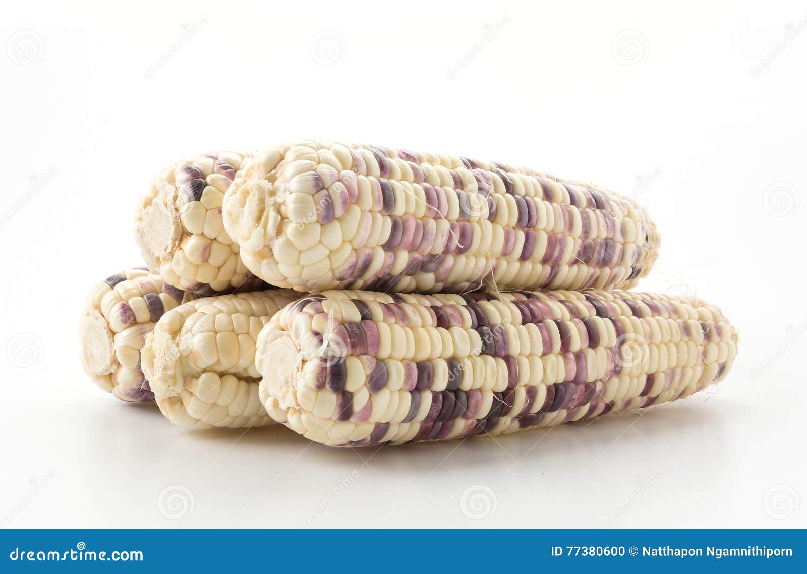 Waxy corn stock photo. Image of boiled, sweetcorn, grain - 77380600