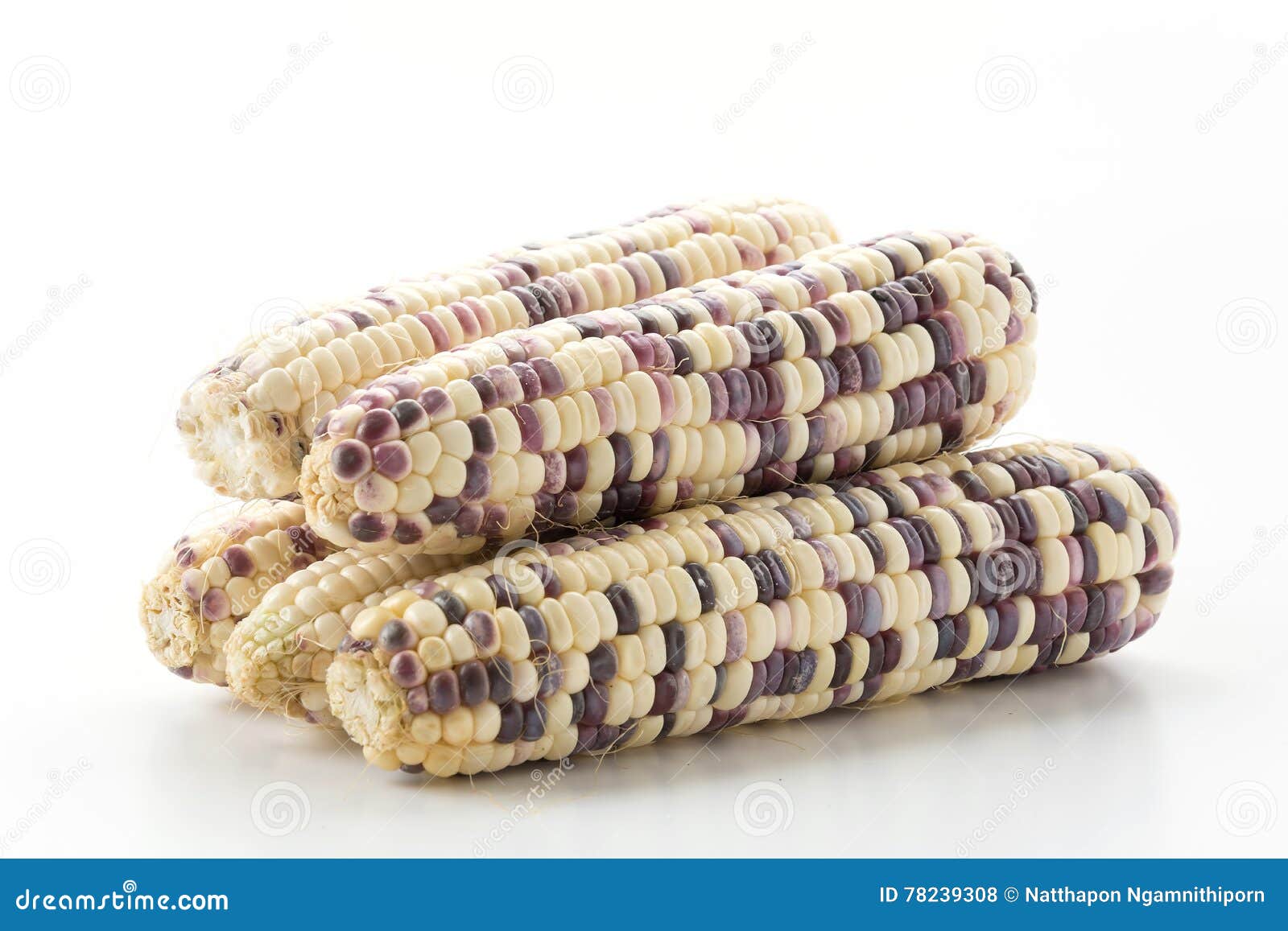 Waxy corn stock photo. Image of yellow, health, sweetcorn - 78239308