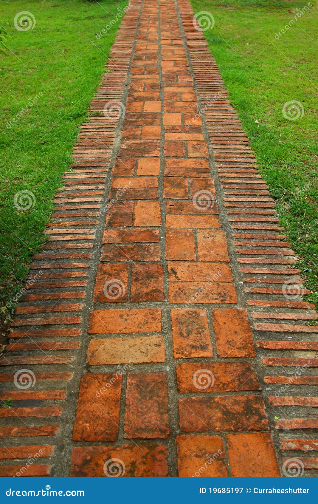 The way stock image. Image of nature, forest, scene, landscape - 19685197