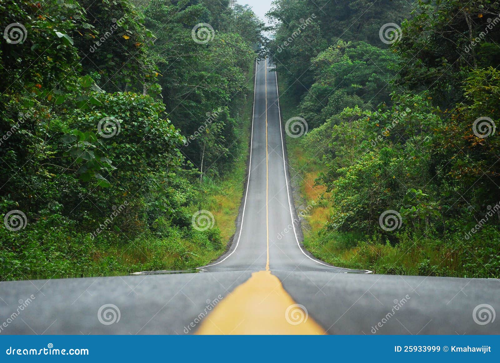 The Way stock image. Image of tree, travel, thailand - 25933999
