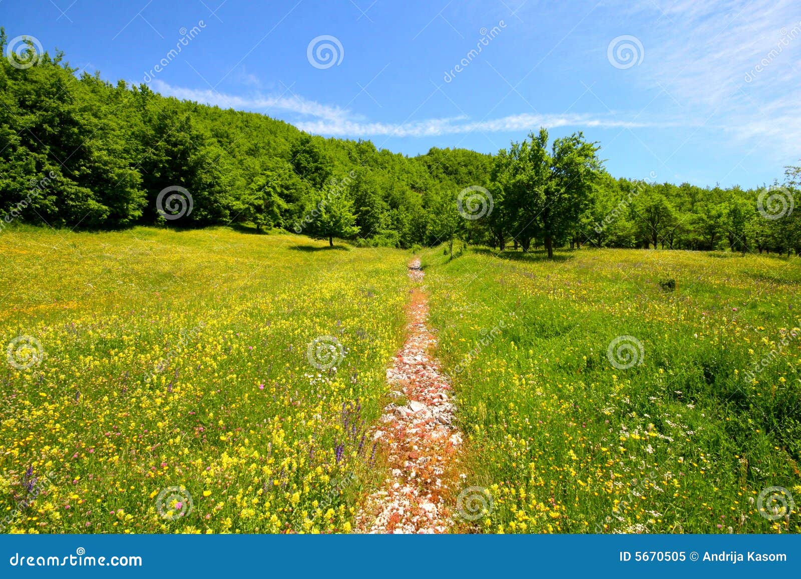 Way stock image. Image of wild, details, people, enjoy - 5670505