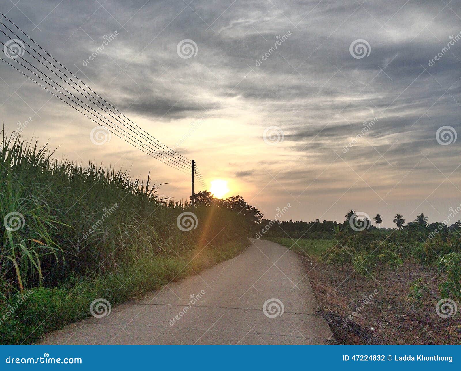 Sunset Way Home Da Da Stock Photos - Free & Royalty-Free Stock Photos ...
