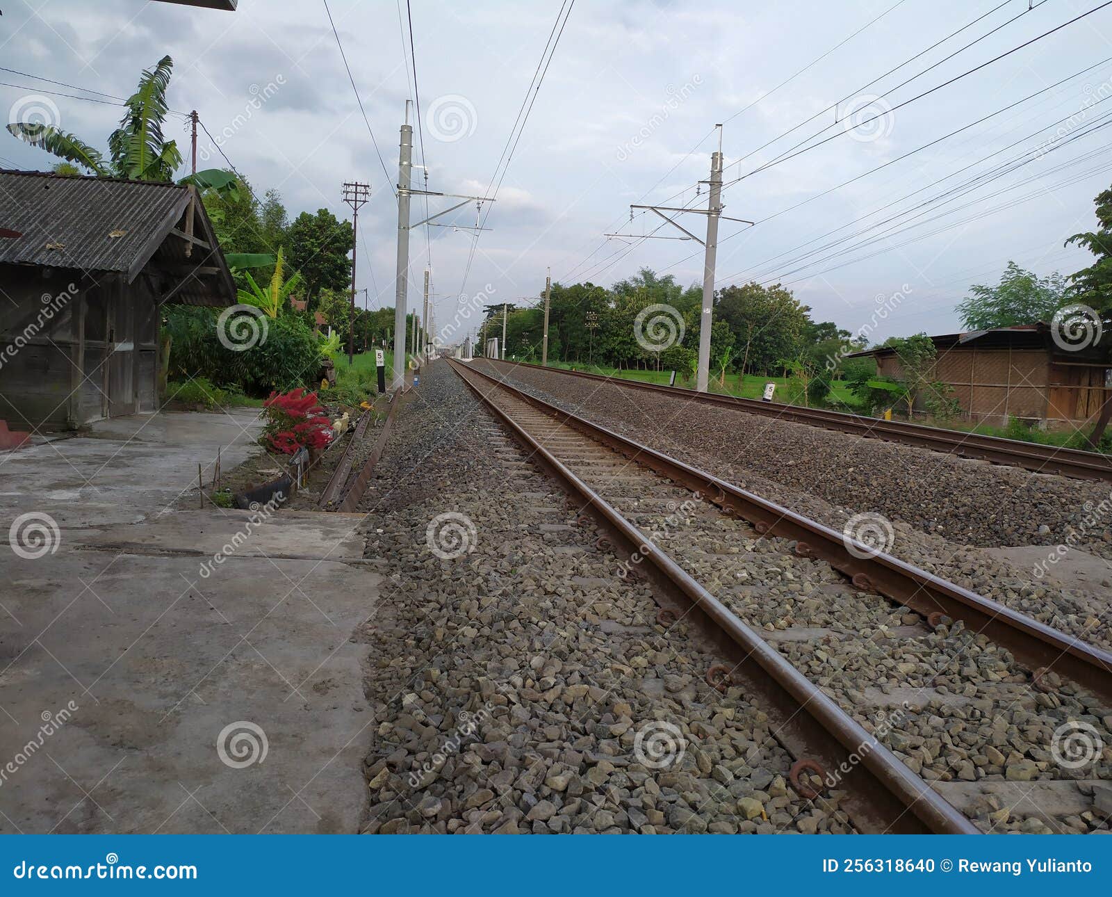 2 way electric train line stock photo. Image of line - 256318640