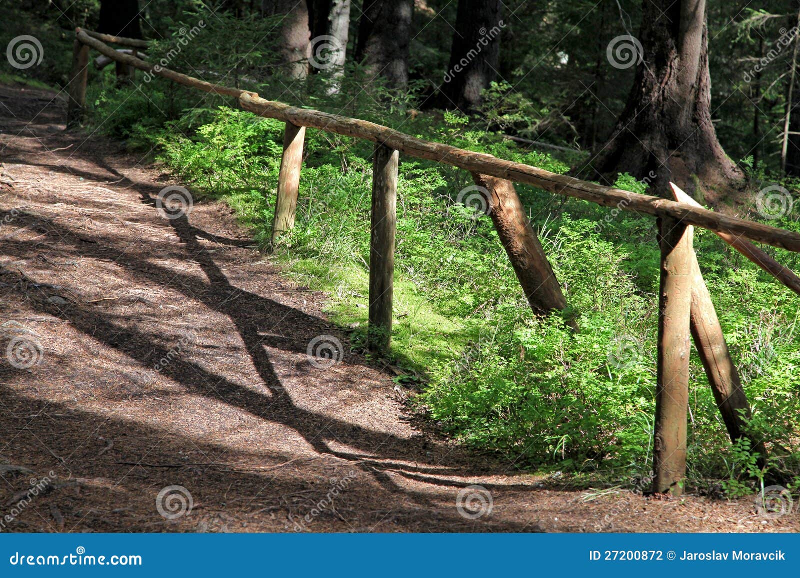 Way in forest stock photo. Image of slovak, forest, nizke - 27200872