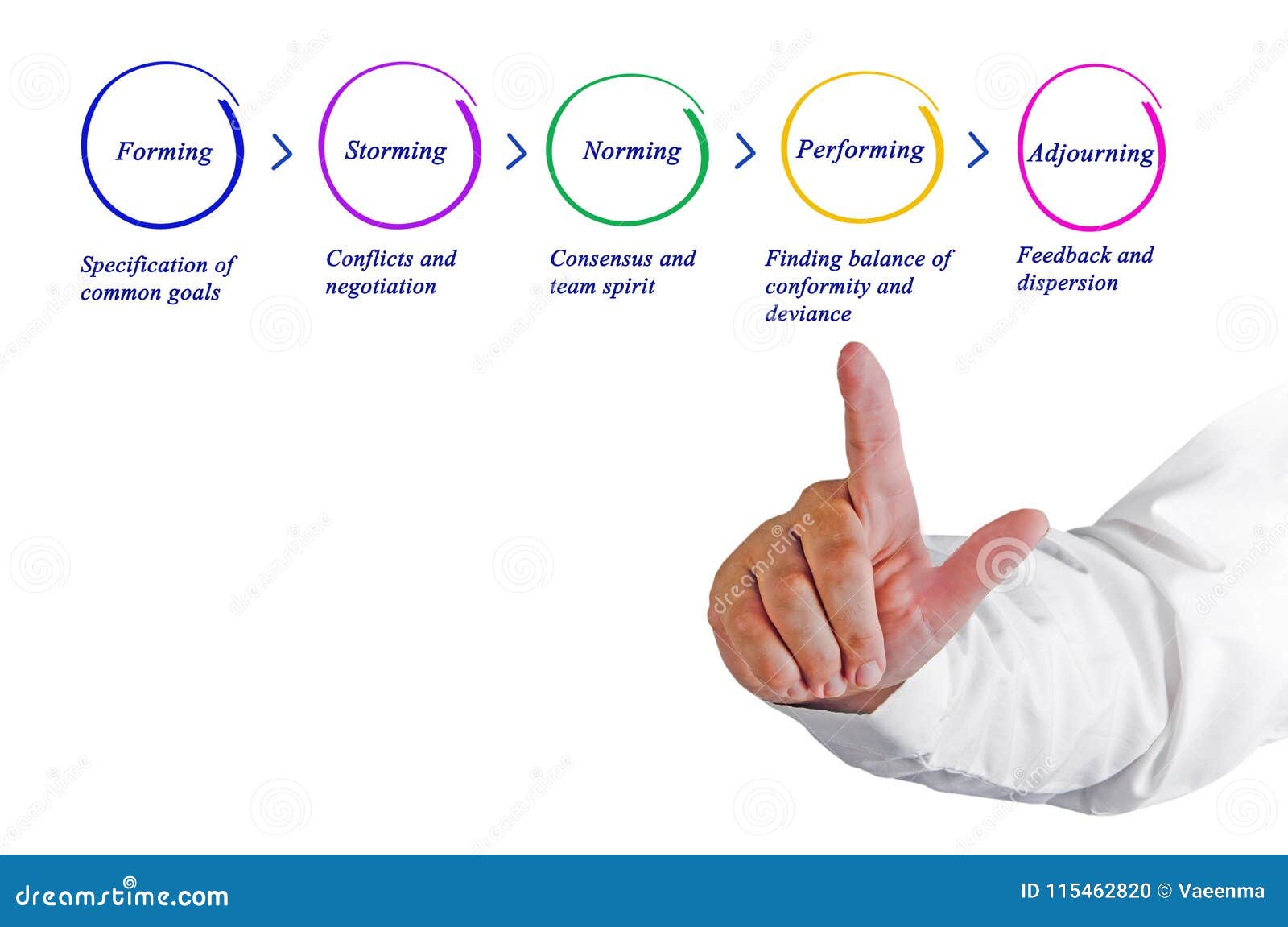 From forming to adjourning stock photo. Image of diagram - 115462820