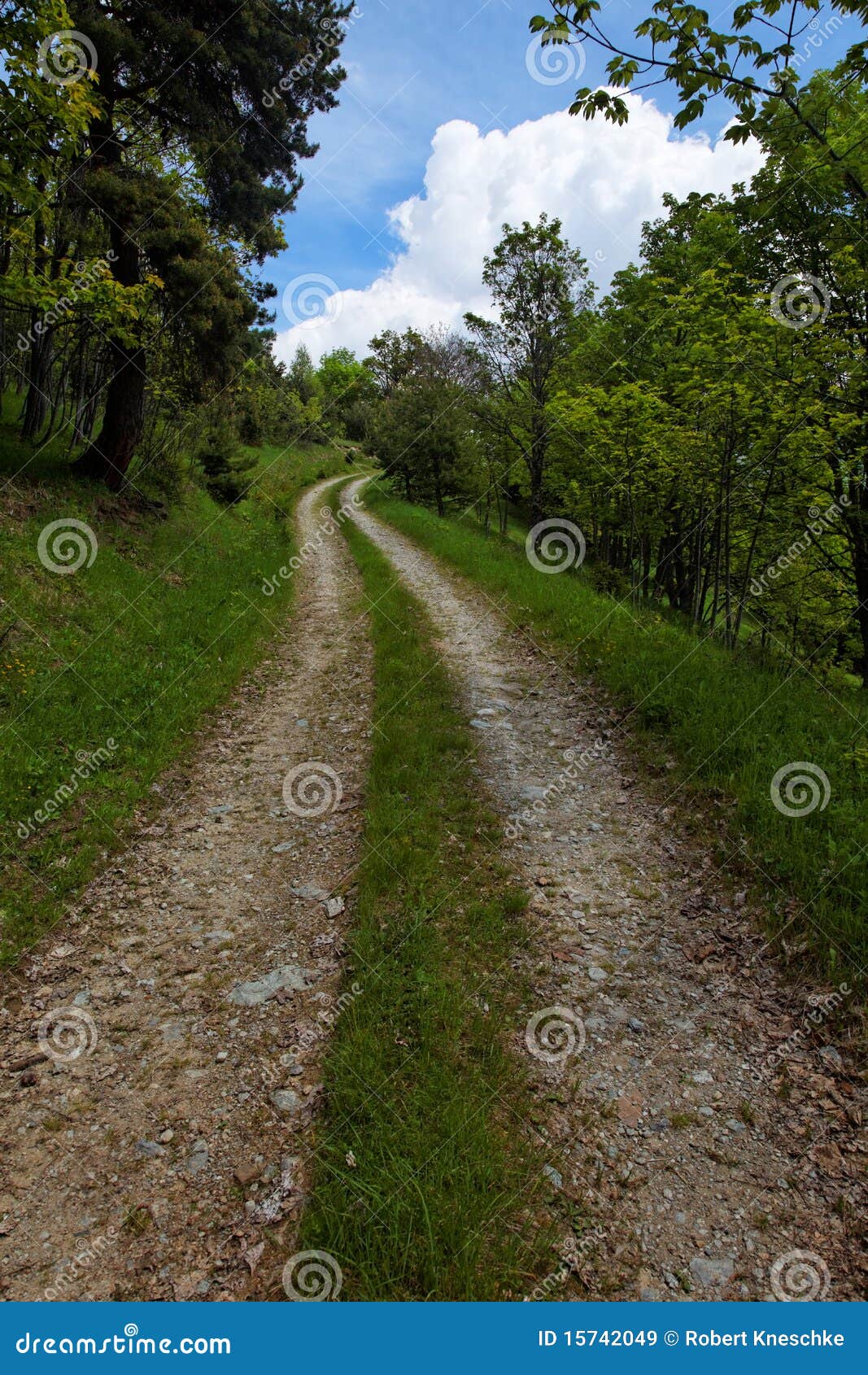 The way forward stock image. Image of nature, field, forward - 15742049