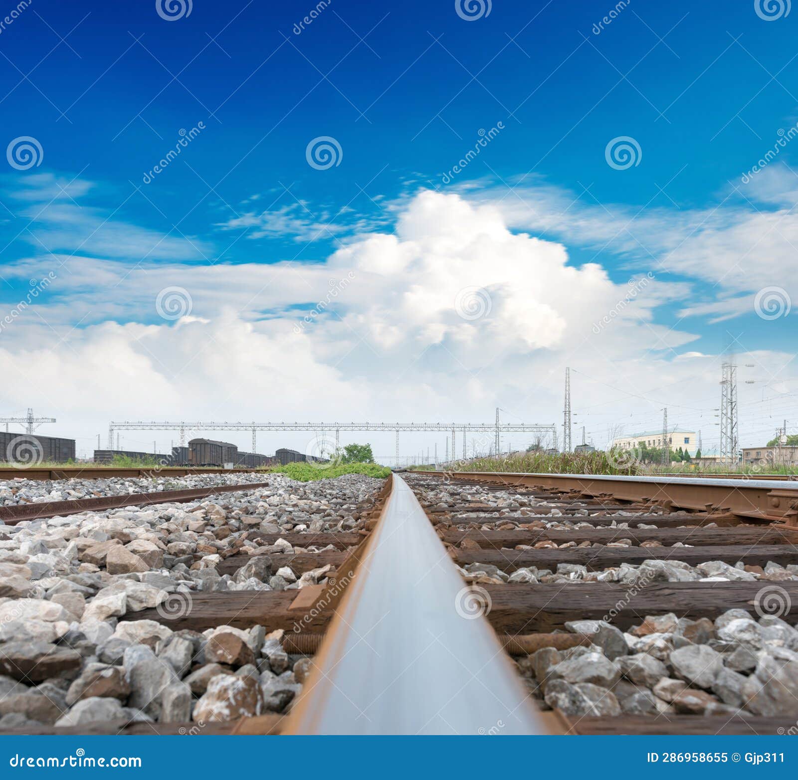 The way forward railway stock image. Image of path, crossing - 286958655