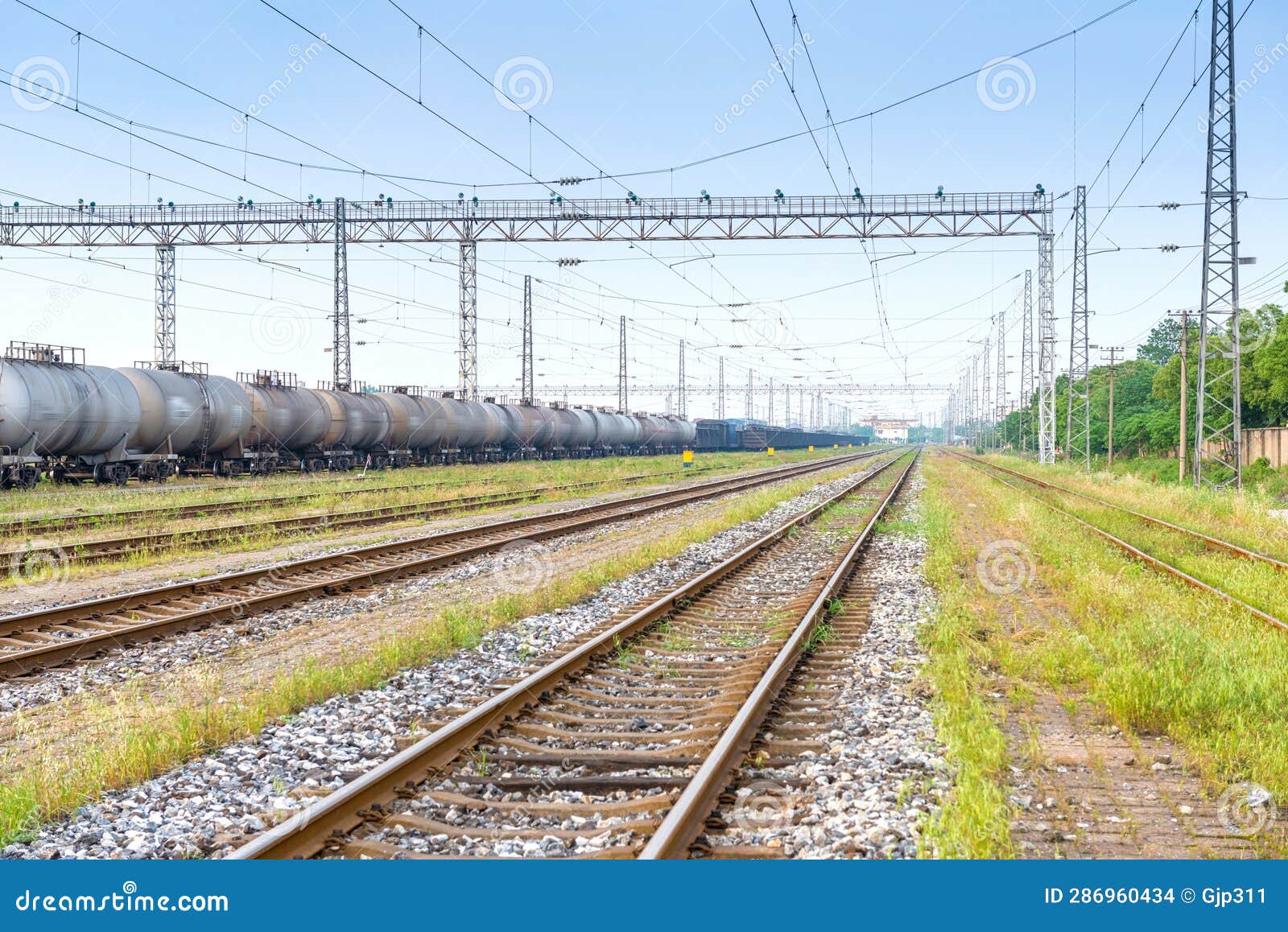 The way forward railway stock photo. Image of crossing - 286960434