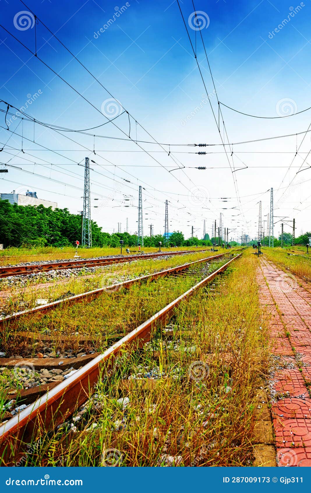 The way forward railway stock image. Image of complexity - 287009173