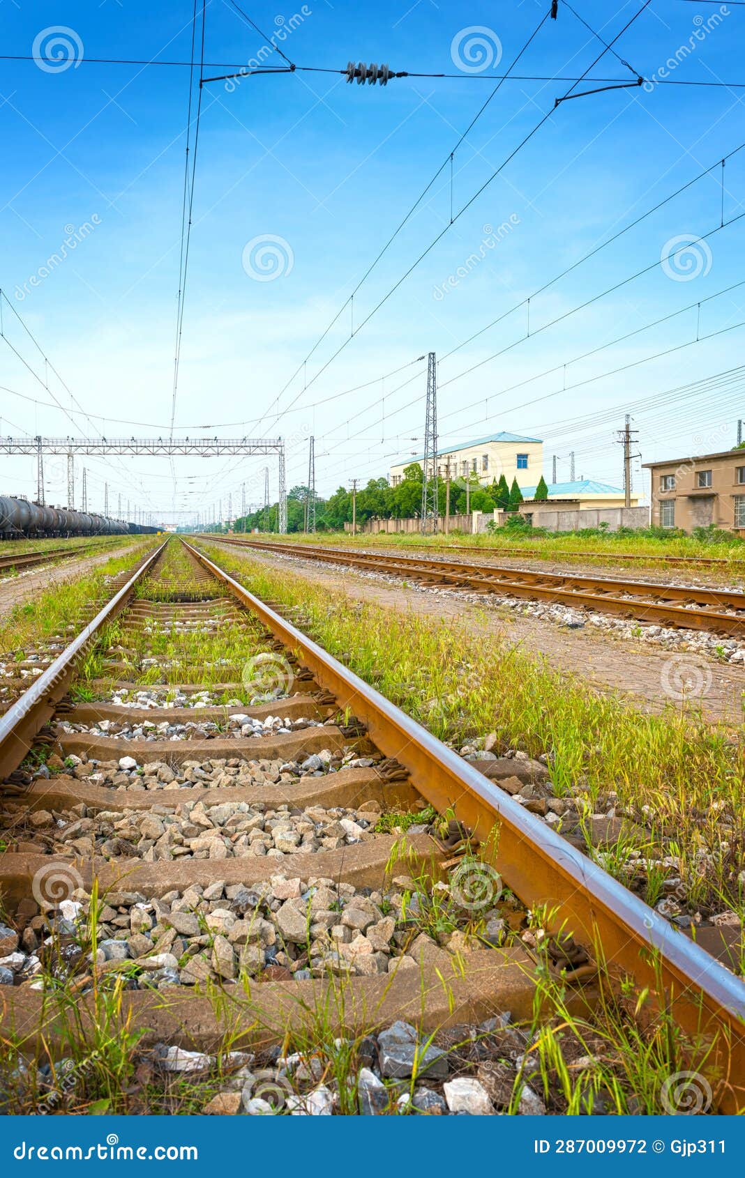The way forward railway stock photo. Image of focus - 287009972