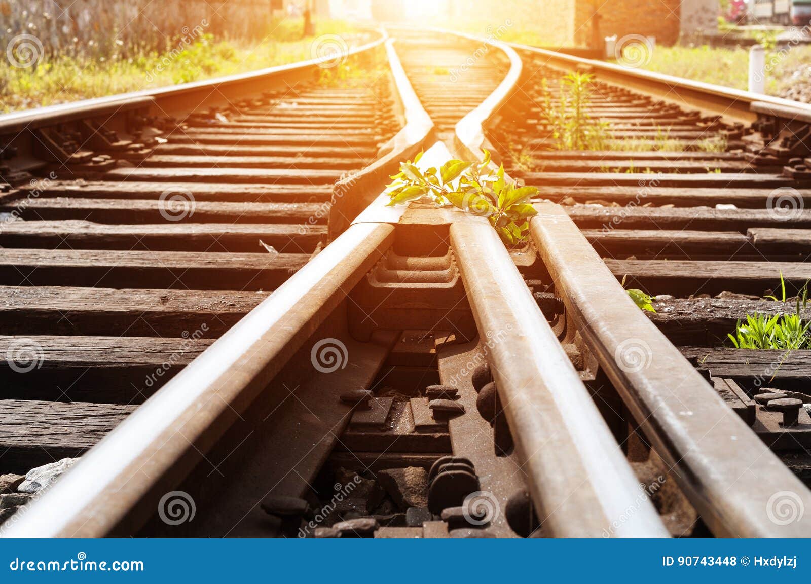 The way forward railway stock photo. Image of branch - 90743448