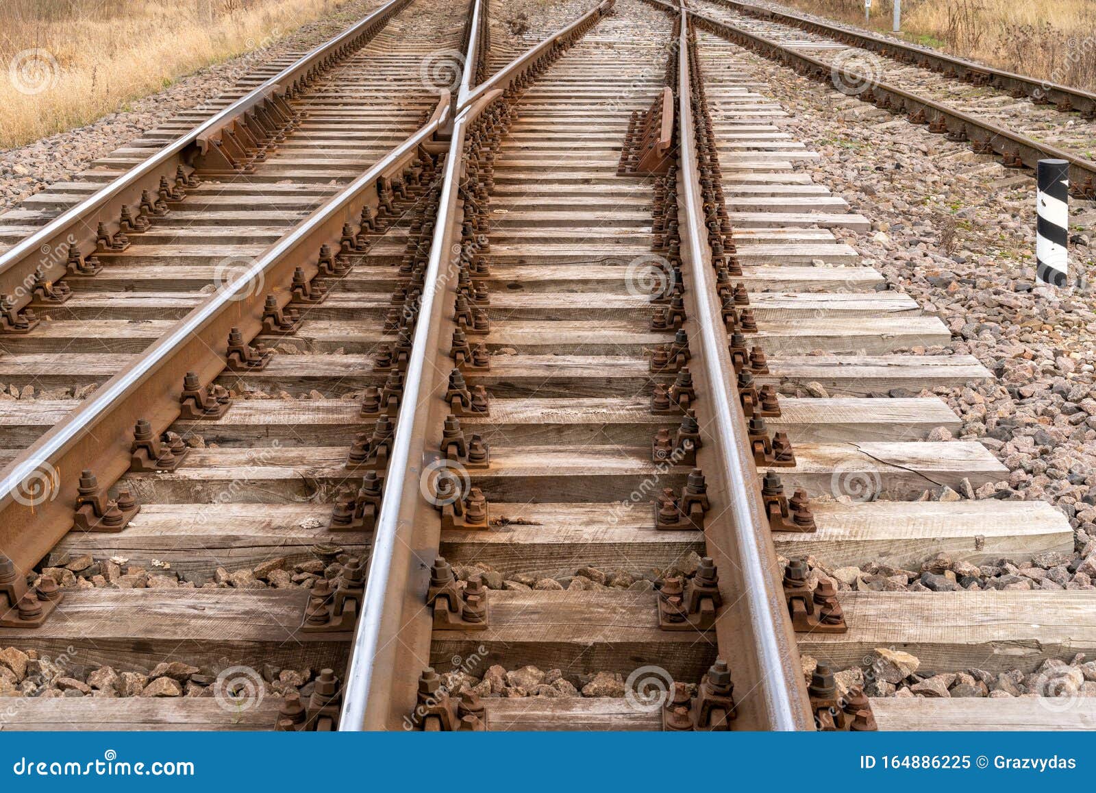 The way forward railway stock image. Image of railroad - 164886225