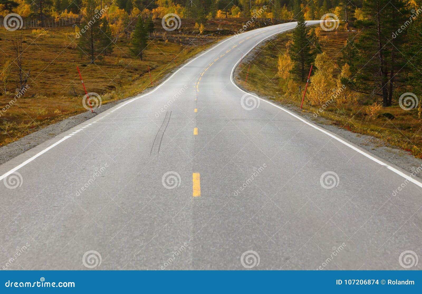 The way forward turns stock photo. Image of road, asphalt - 107206874