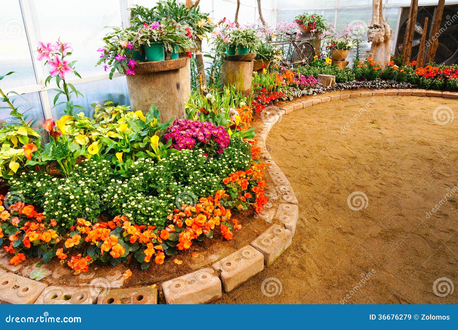 Way in the garden stock image. Image of tree, grass, road - 36676279