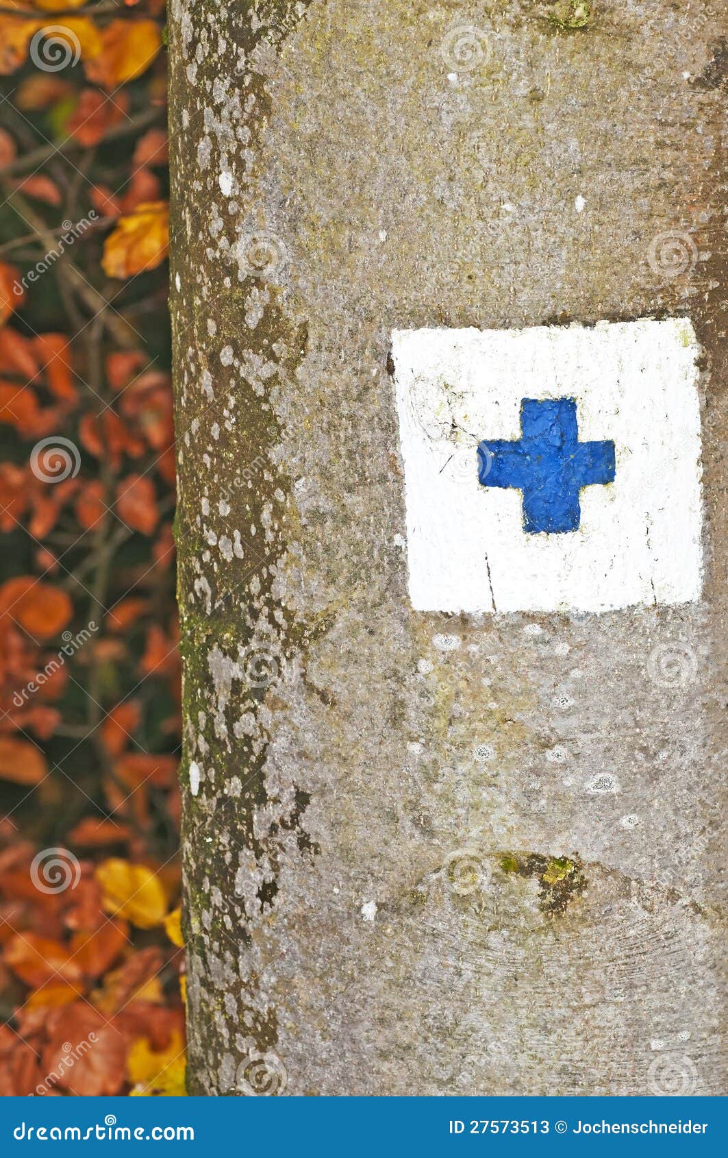 Way marker stock image. Image of blue, wood, cross, wooden - 27573513