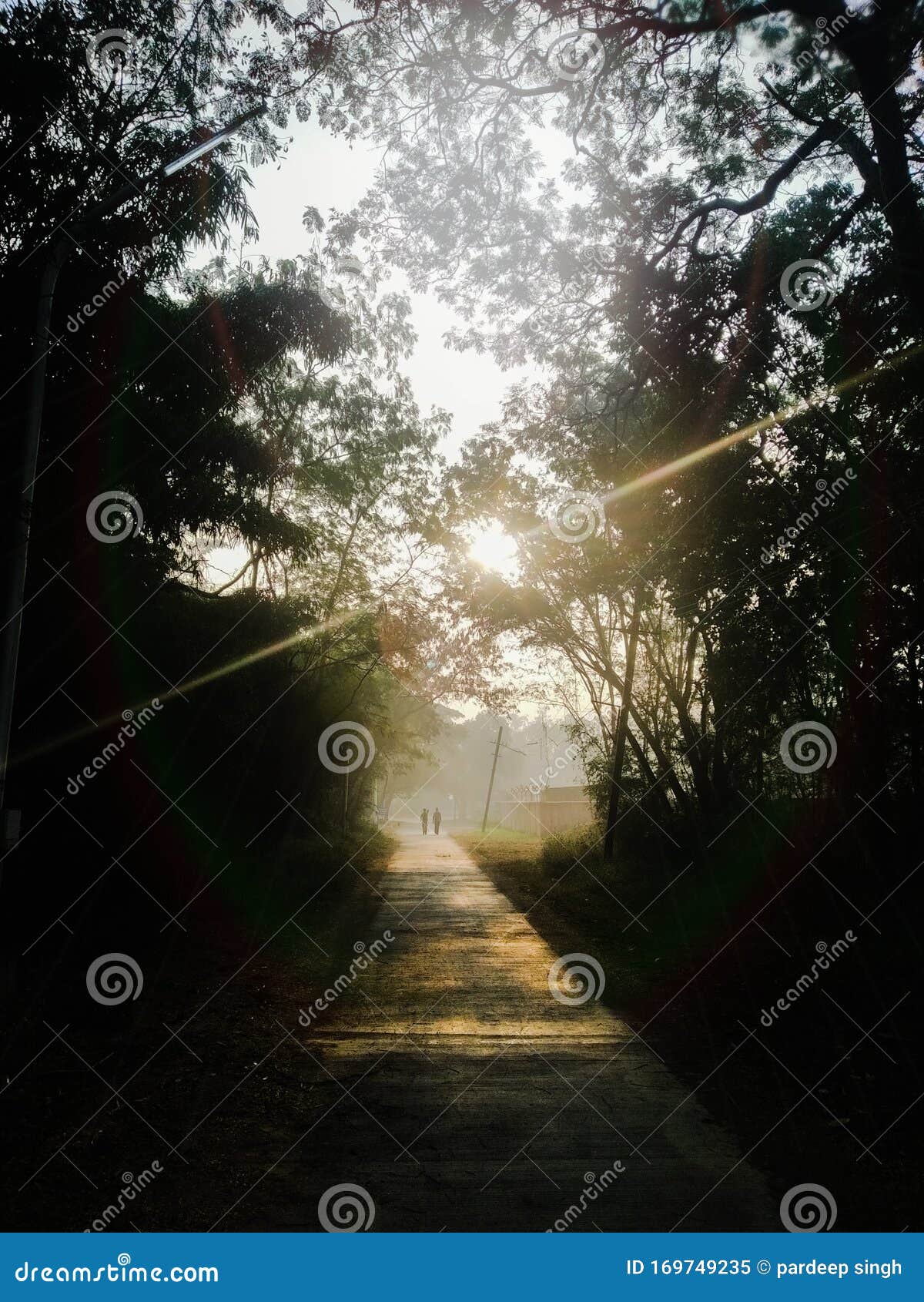 Way of Morning Walk and Sun Rise Stock Image - Image of rise, walk ...