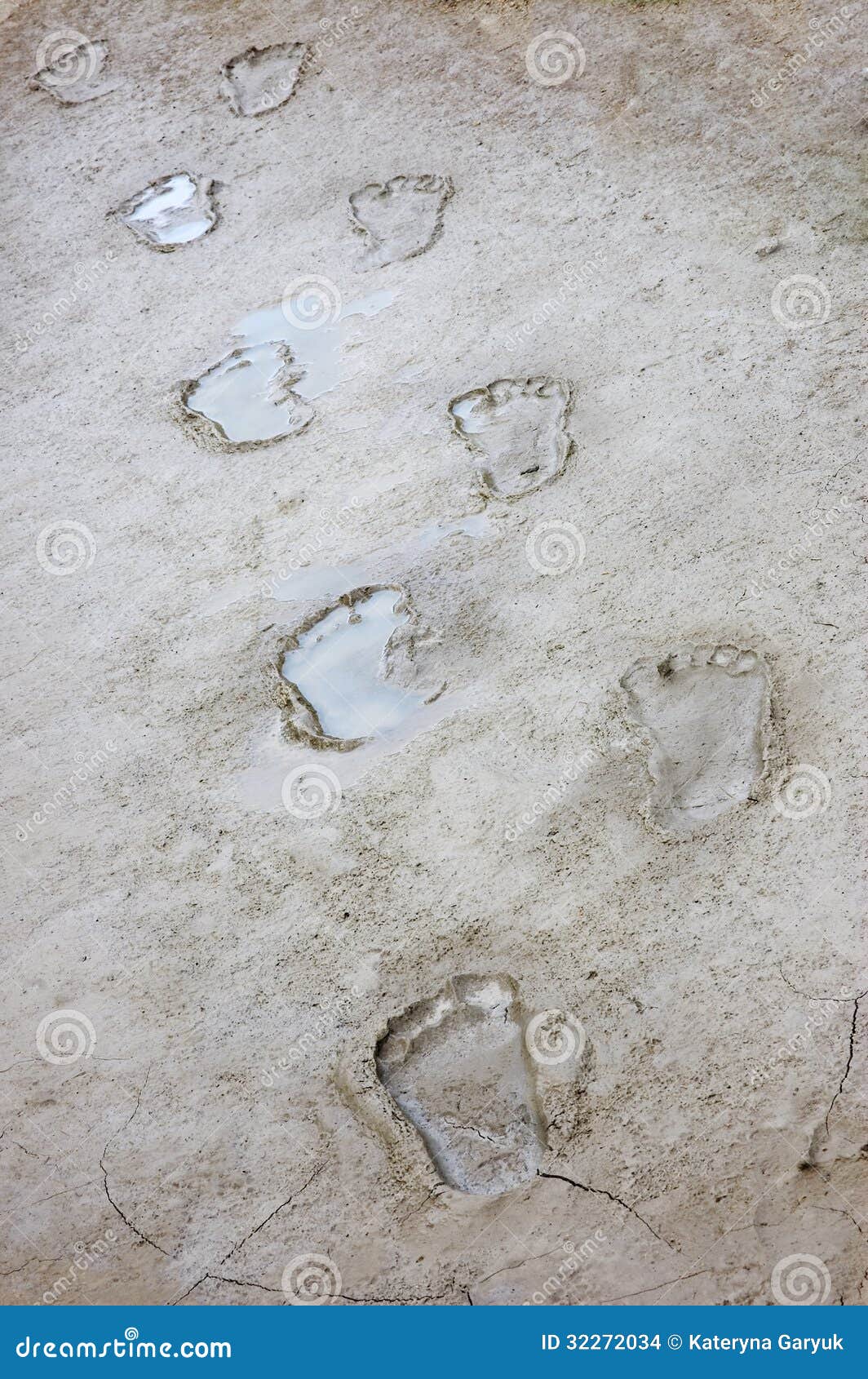 The way through mud stock photo. Image of footprint, imprint - 32272034