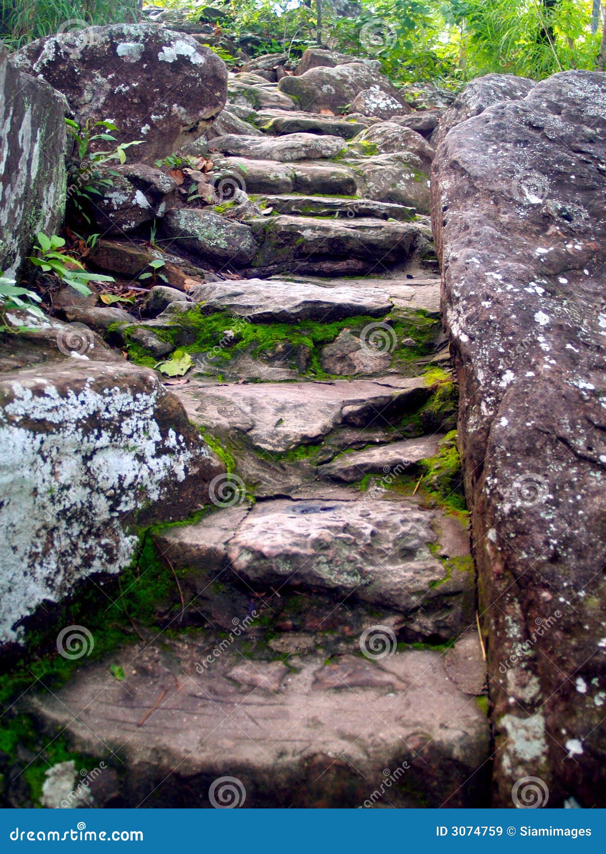 Way nature 01 stock image. Image of grass, slab, gravel - 3074759