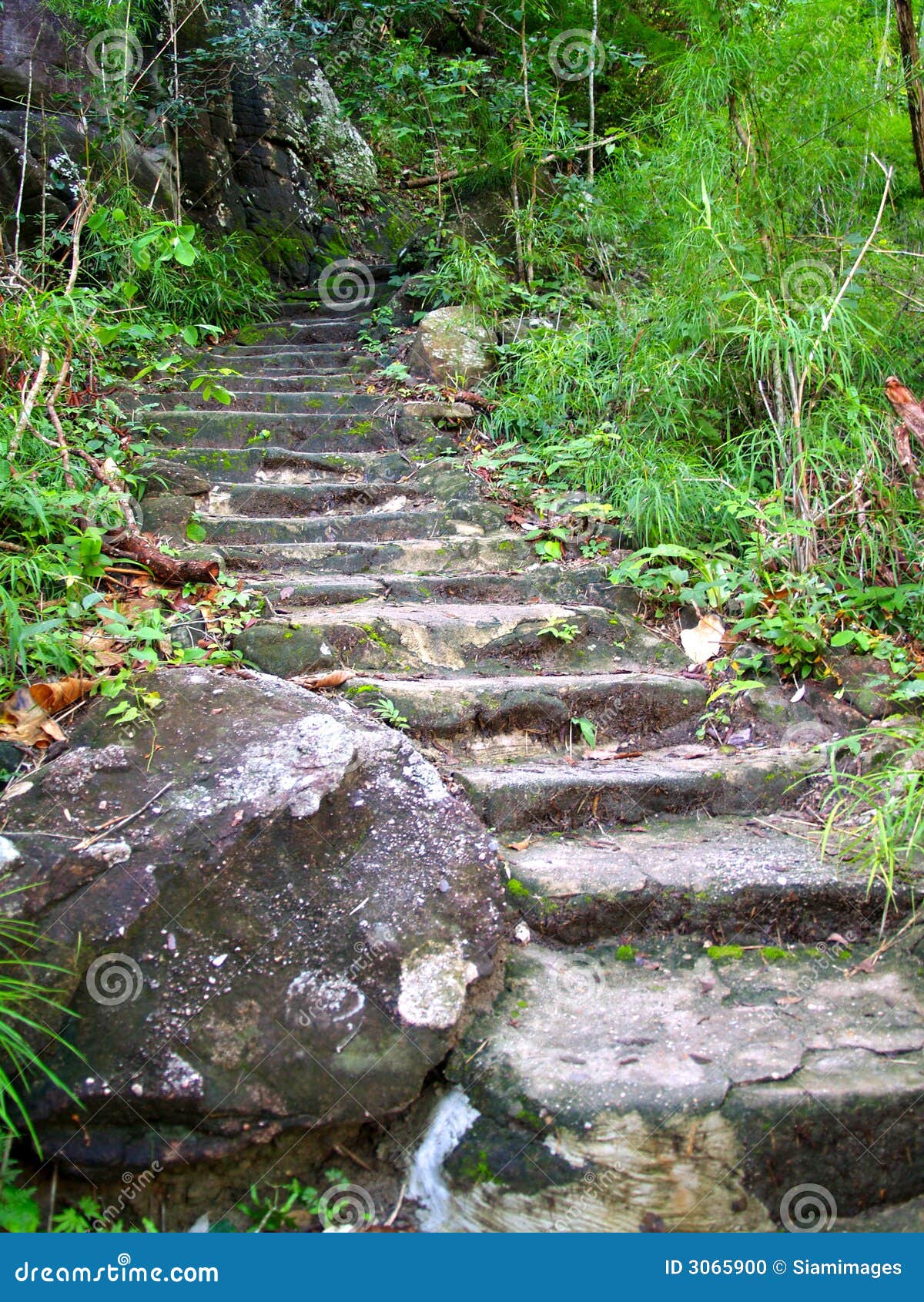 Way nature 07 stock photo. Image of direction, countryside - 3065900