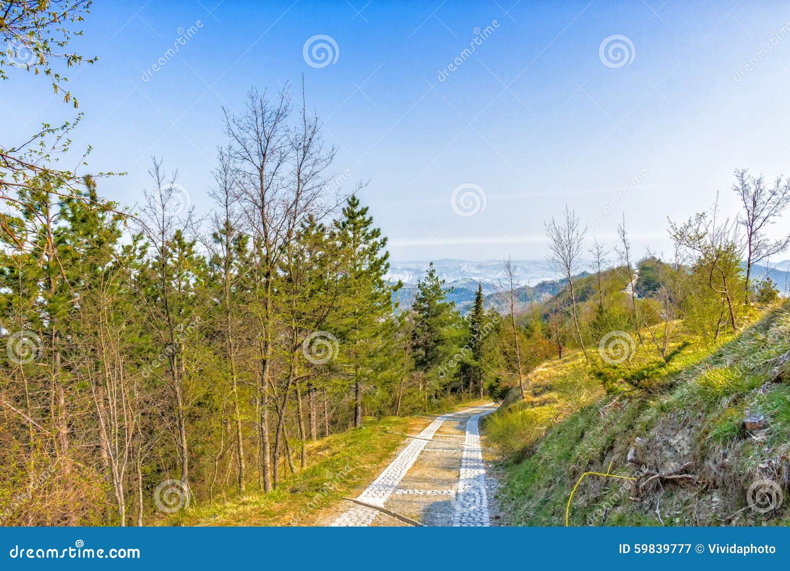 The Way of Nature on a Path Bordered by Stones in the Trees Stock Image ...