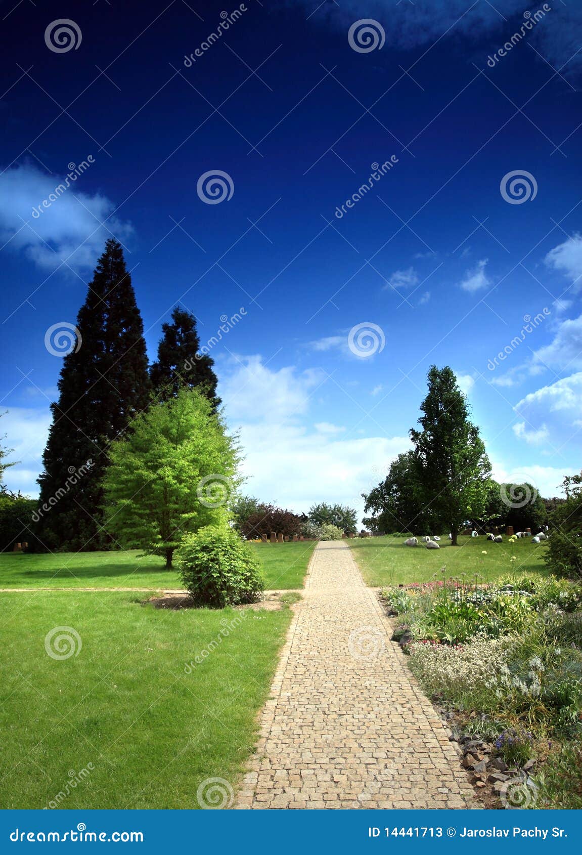 Way in park stock image. Image of park, lane, scenic - 14441713