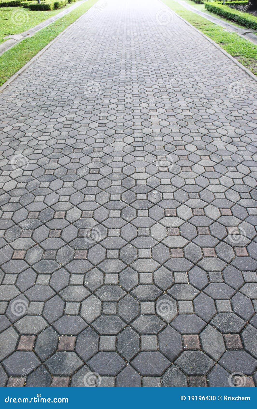 Way park stock photo. Image of spark, road, floor, plant - 19196430