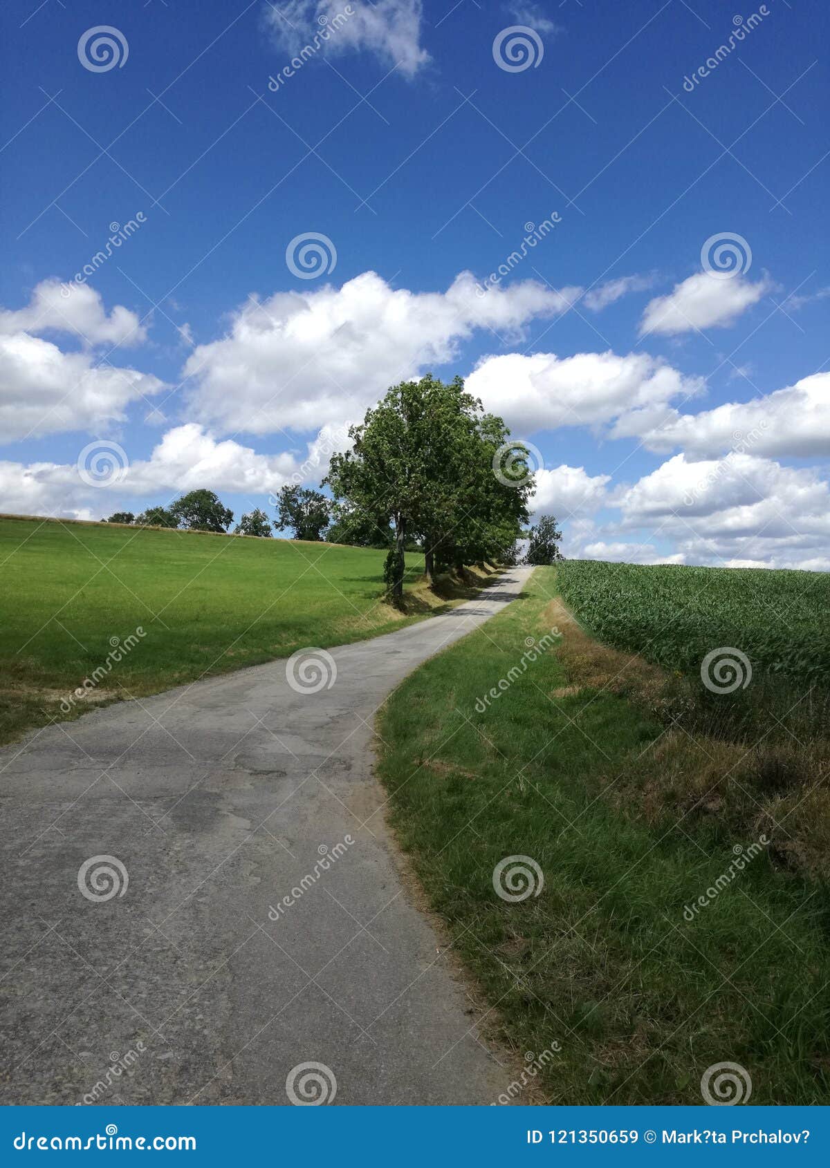 Way stock image. Image of nature, fields, green, path - 121350659