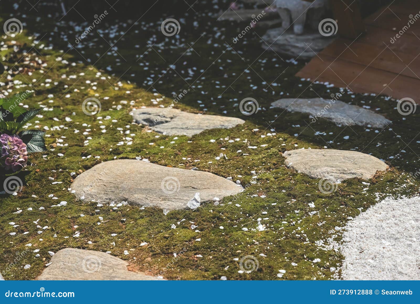 The Way Paved Single Stones among Grass Stock Photo - Image of lawn ...