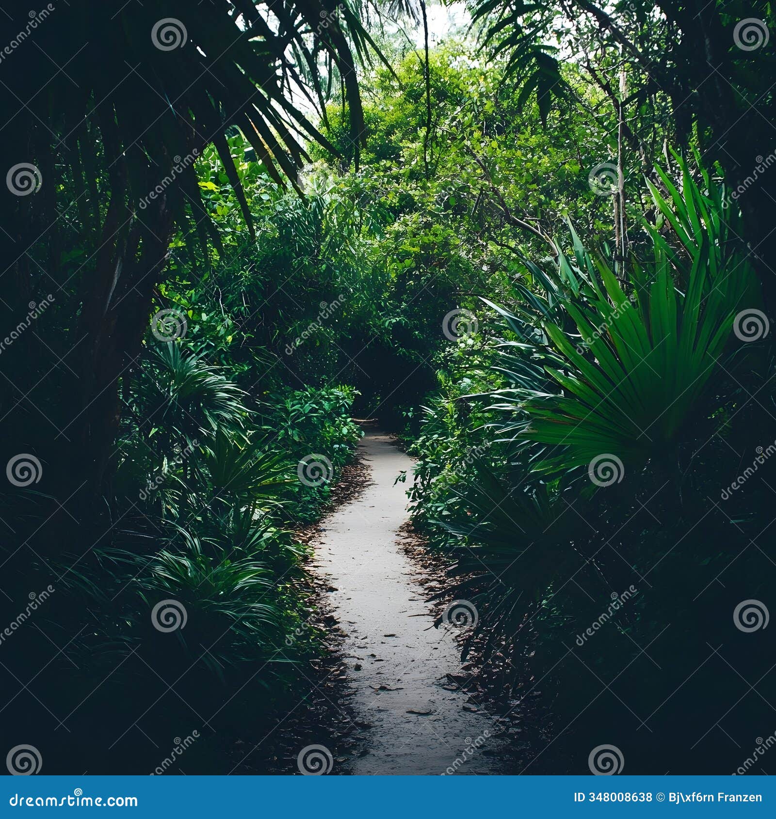 Greenery Path Nature Pathway Green Forest Road Stock Illustration ...
