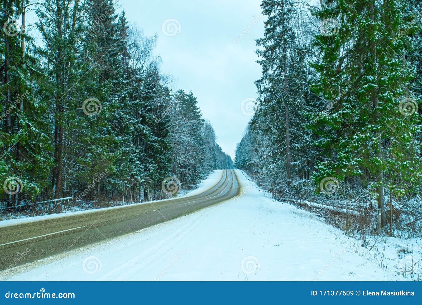 Way Road in Thick Snowy Forest Stock Image - Image of snowy, asphalt ...