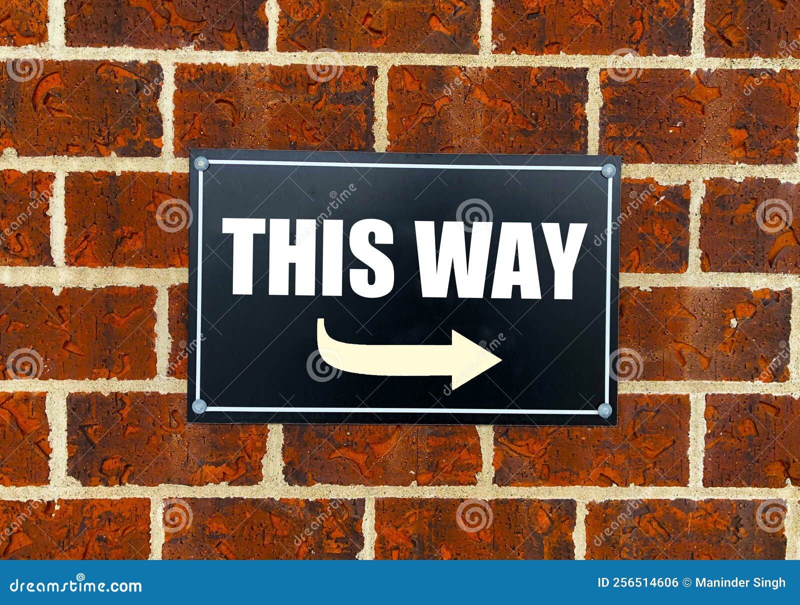 This way Sign. stock photo. Image of 2023, health, isolated - 256514606