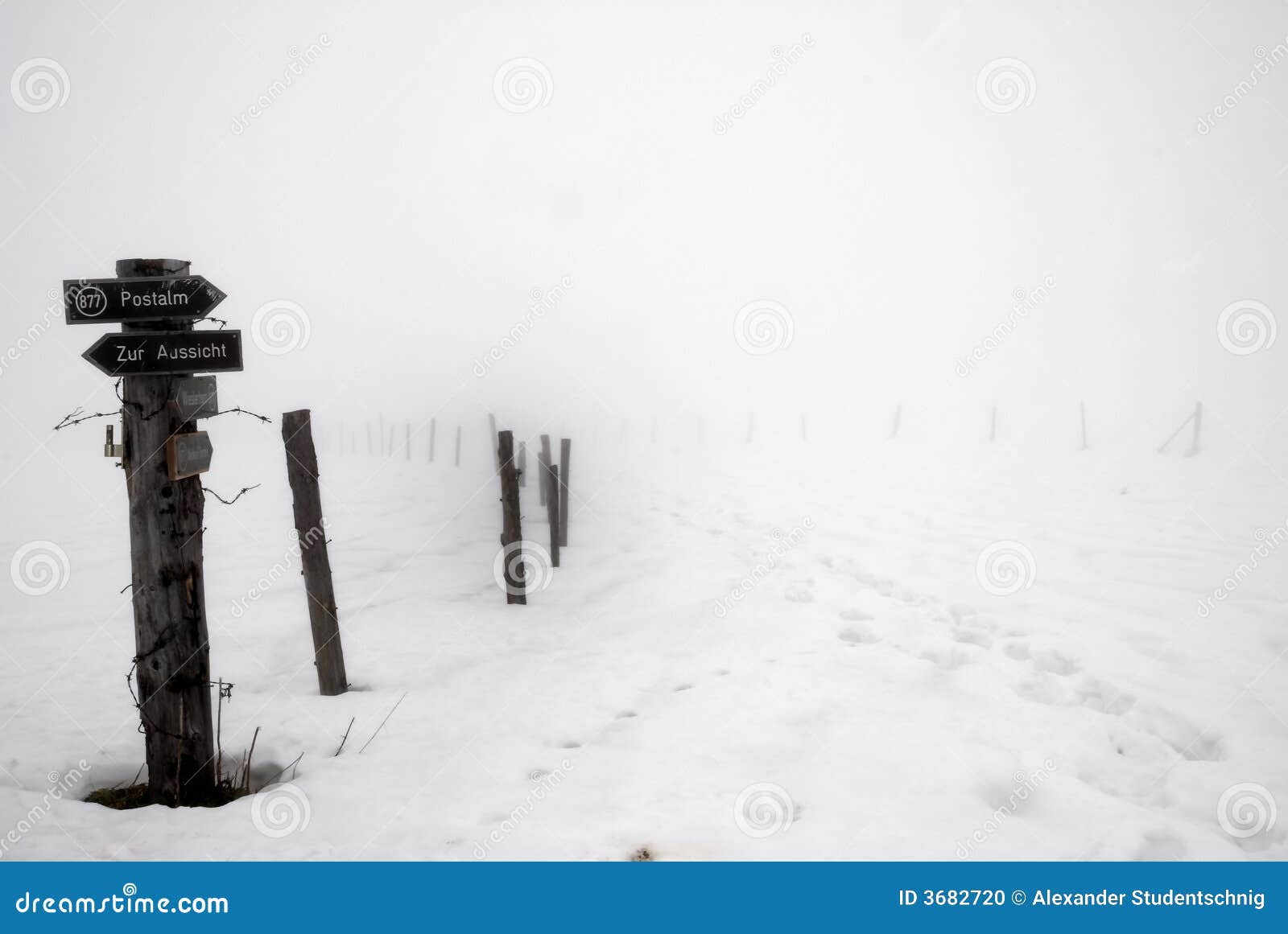 Way sign in winter no.1 stock photo. Image of high, blind - 3682720