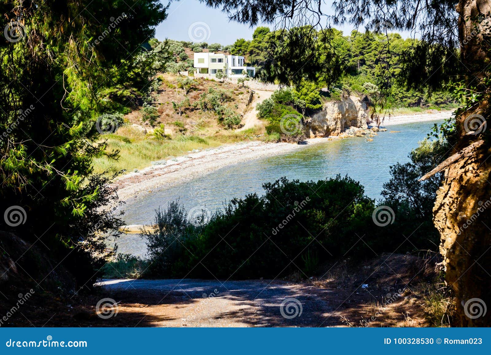 Asphalt Going Trough Green Vegetation, Pine Tree Stock Photo - Image of ...