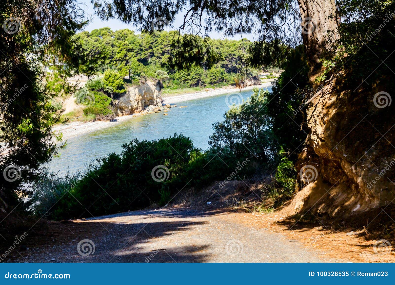Asphalt Going Trough Green Vegetation, Pine Tree Stock Image - Image of ...