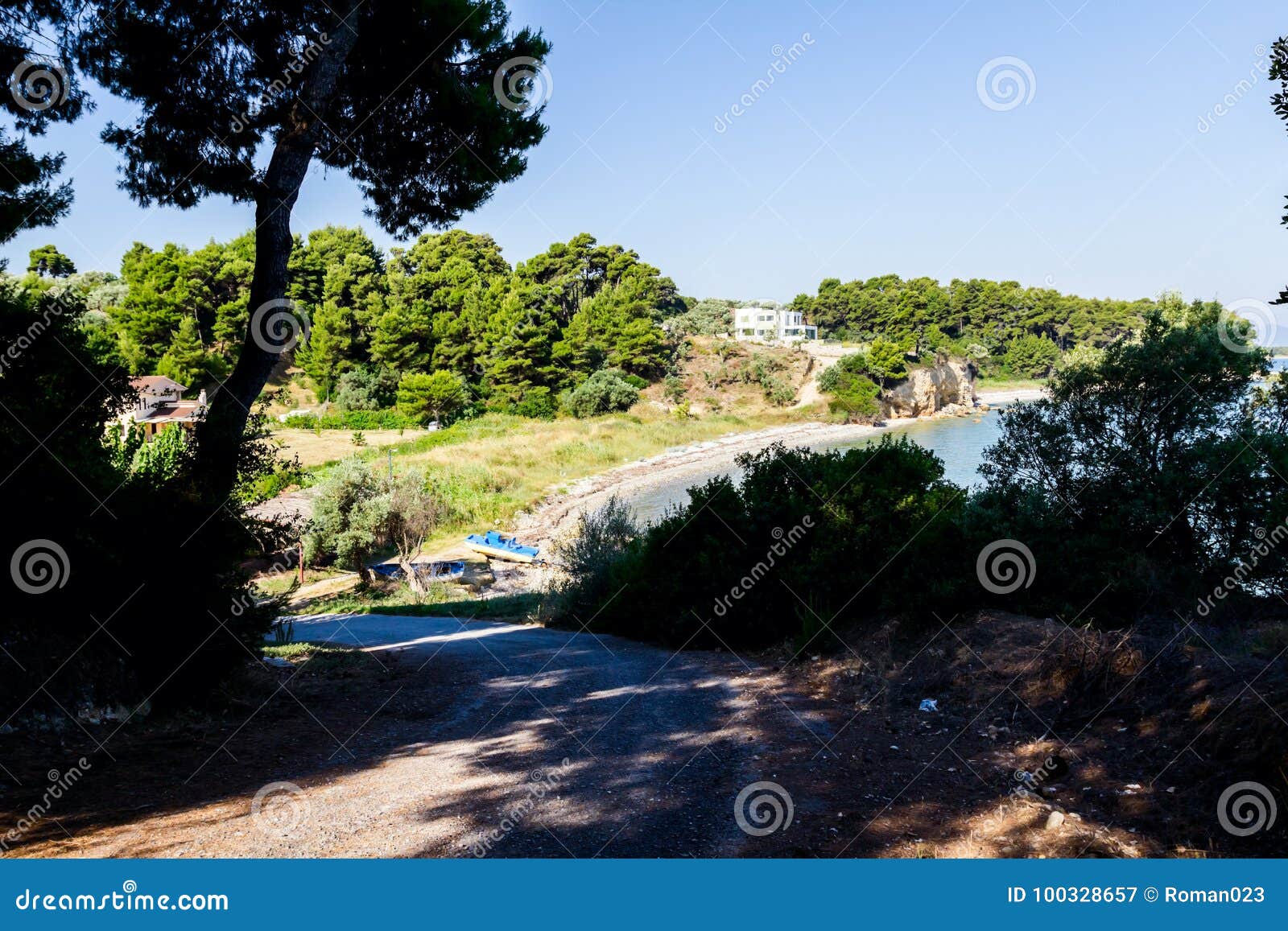 Asphalt Going Trough Green Vegetation, Pine Tree Stock Image - Image of ...