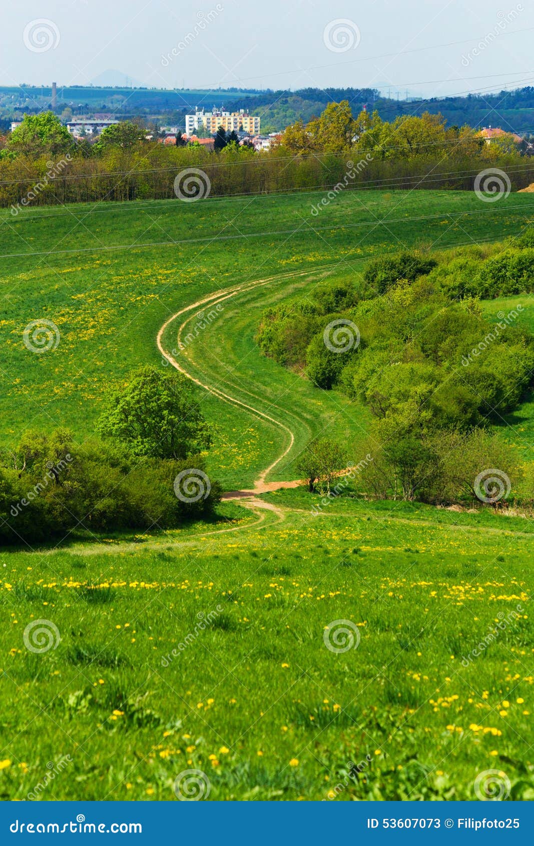 Way stock image. Image of field, fresh, foliage, clouds - 53607073