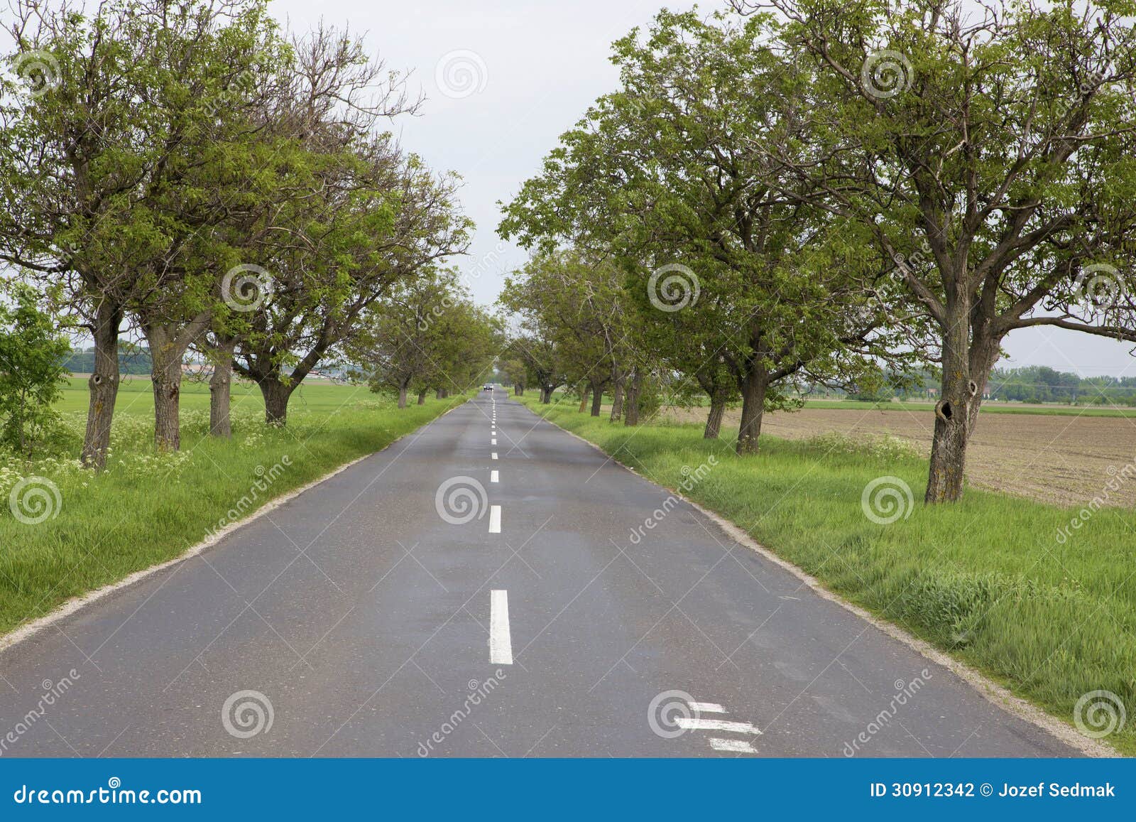 Way in the Spring Landscape Stock Photo - Image of nature, field: 30912342