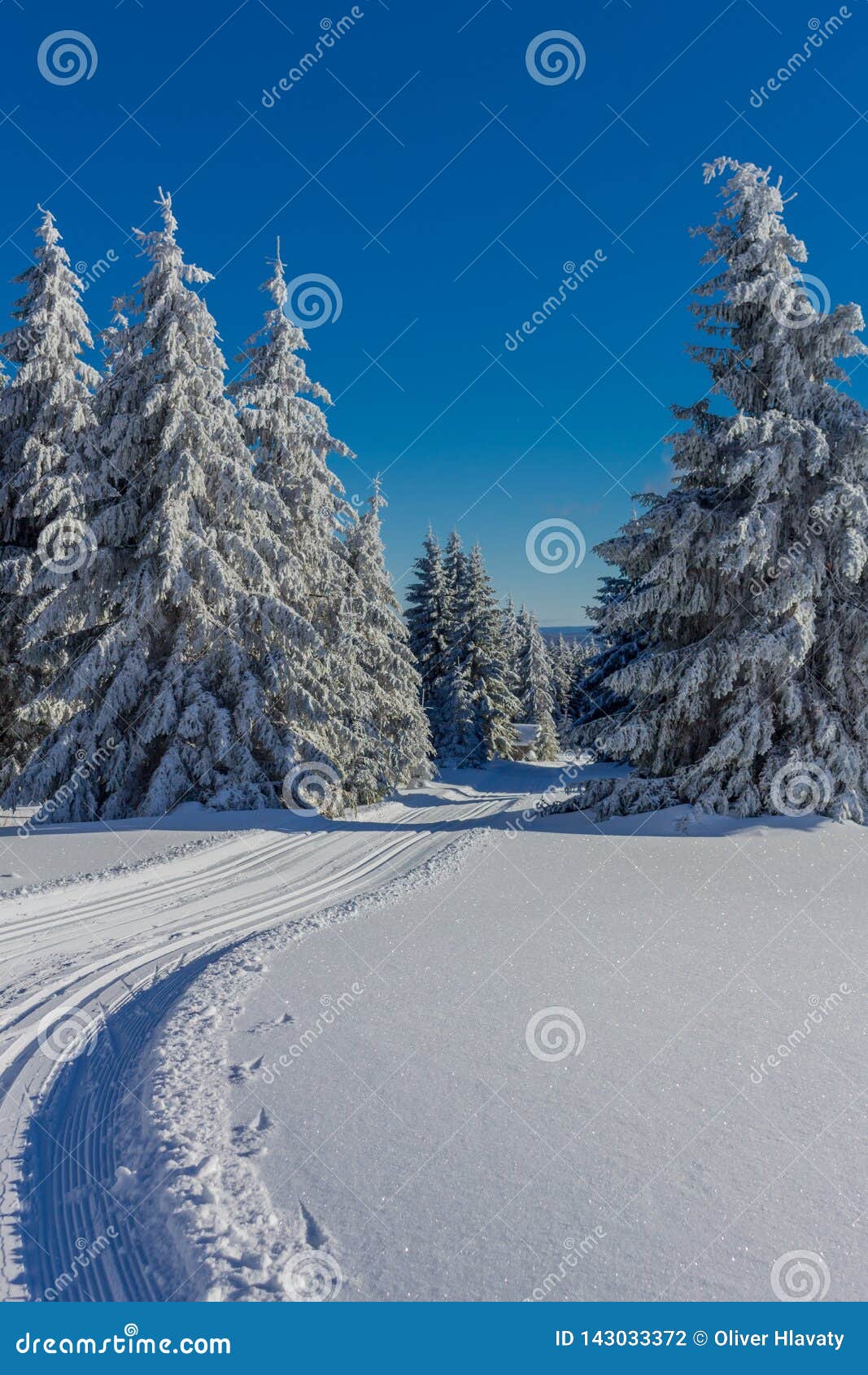 On the Way through the Thuringian Forest Stock Photo - Image of ...